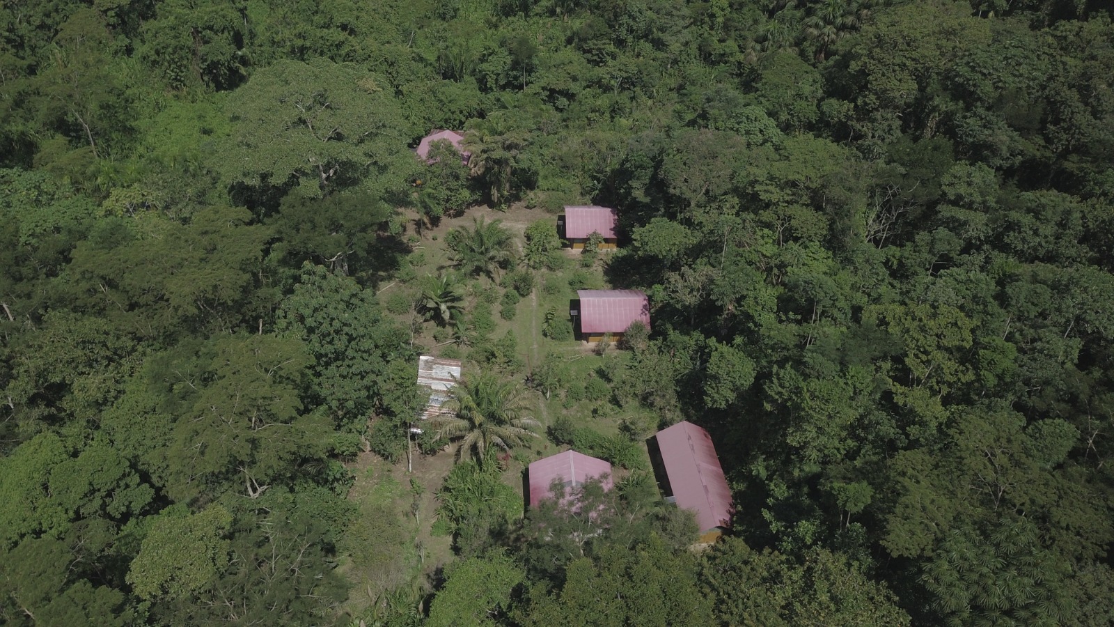 Eco Manu Lodge – Manu Lodge